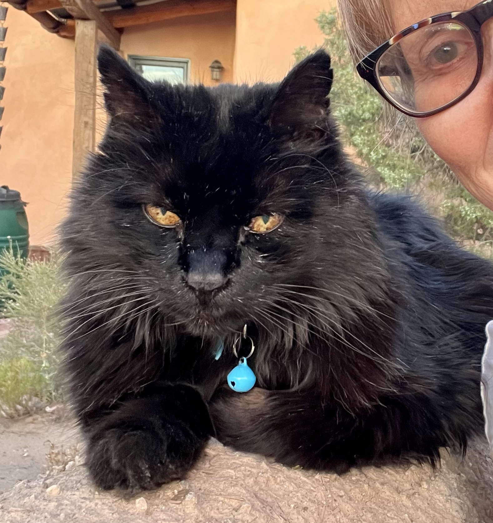 A Horror Story – Terry Nichols